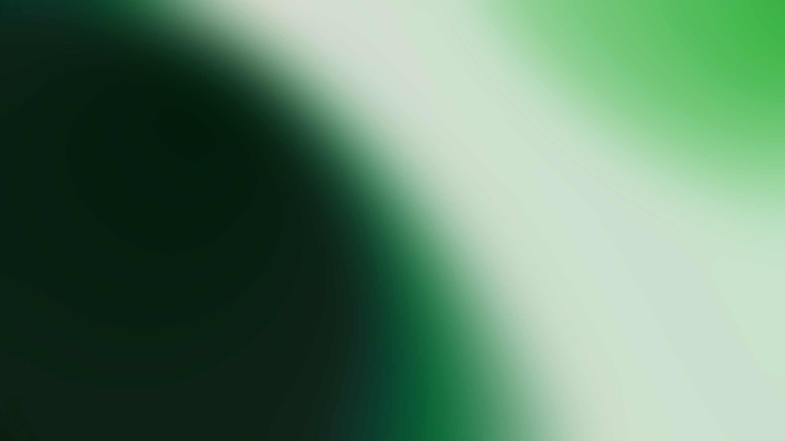 Multivariate regime switching GARCH-family models: inference, stability ...